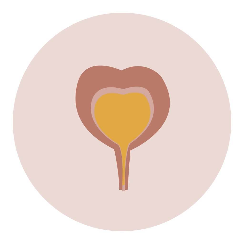 Prendre rendez-vous pour un bilan urodynamique - One Clinic