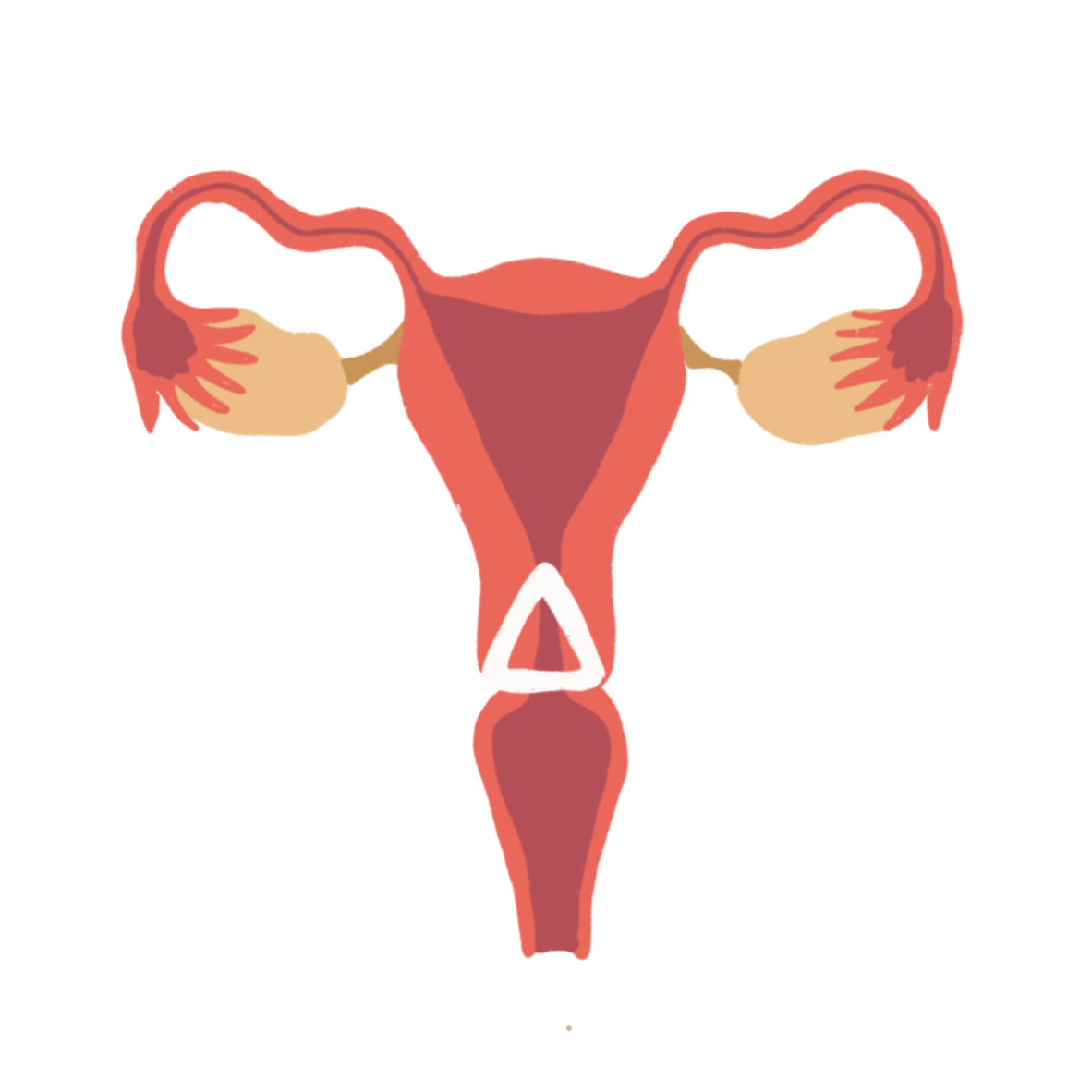 Prendre rendez-vous pour une conisation - One Clinic